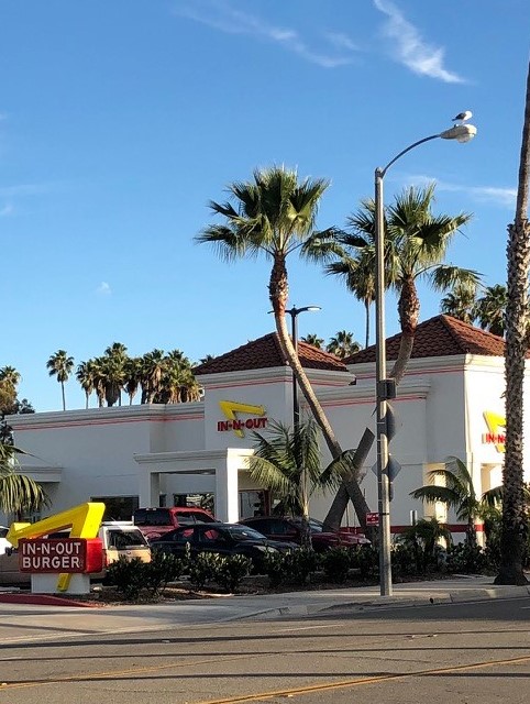 What Payment Methods Can You Use at In-N-Out?