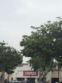 What Payment Methods Are Available at Staples?